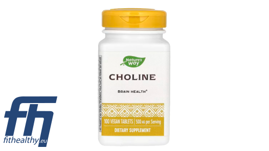 Nature's Way Choline 500 mg 100 vtab | Premium Supplements, Vitamins ...
