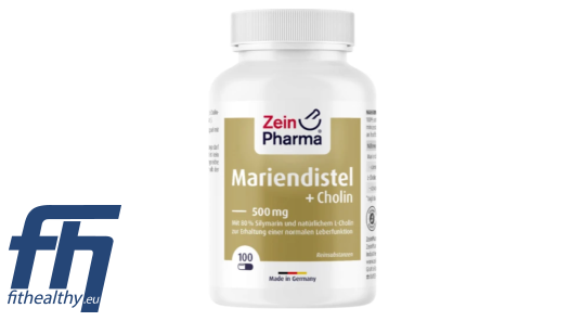 Zein Pharma Milk Thistle + Choline, Liver Complex 100 caps | Premium ...